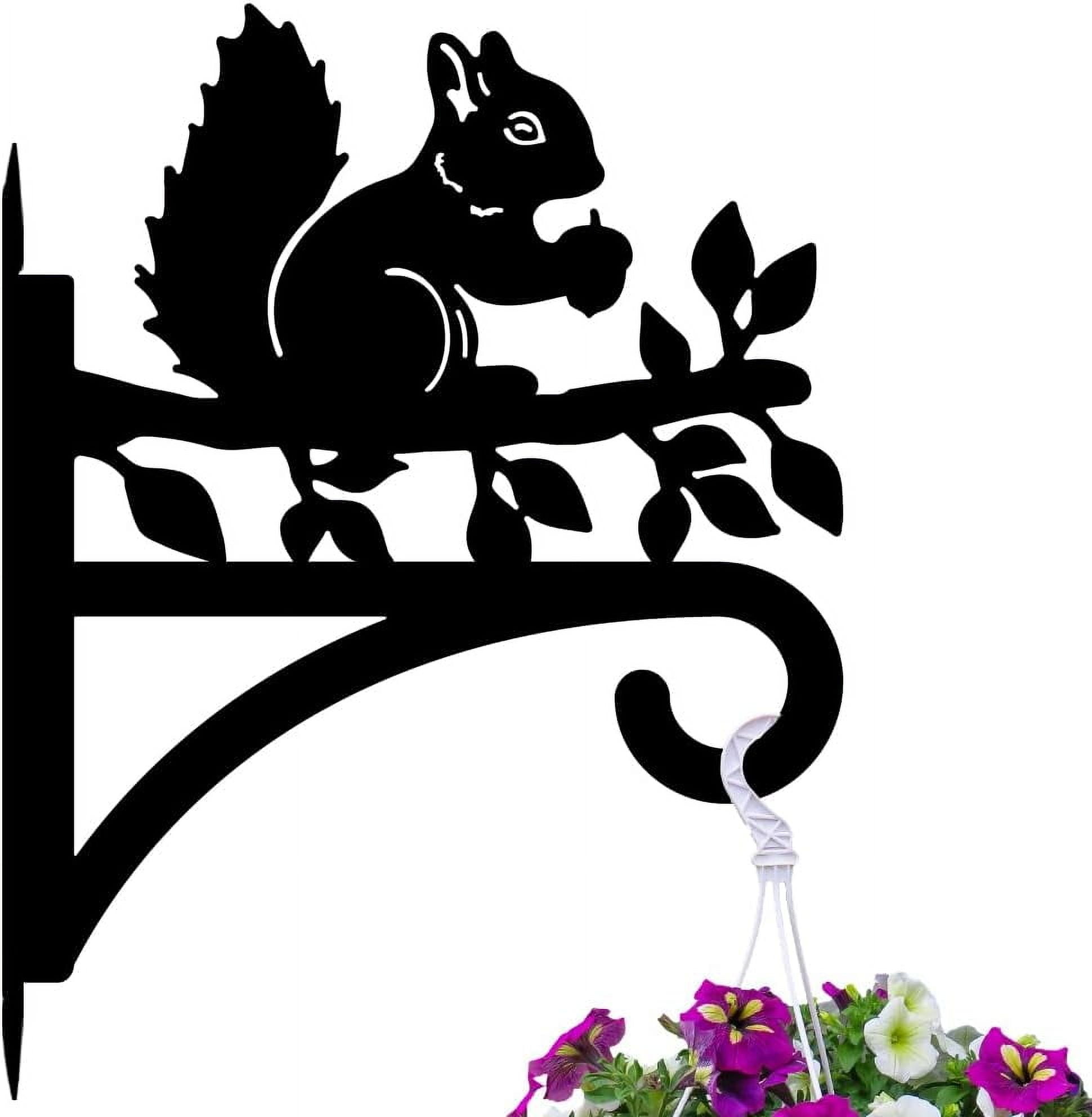 Iron Hanging Plant Hanger Bracket Wall Mounted Plant Hooks Squirrel ...