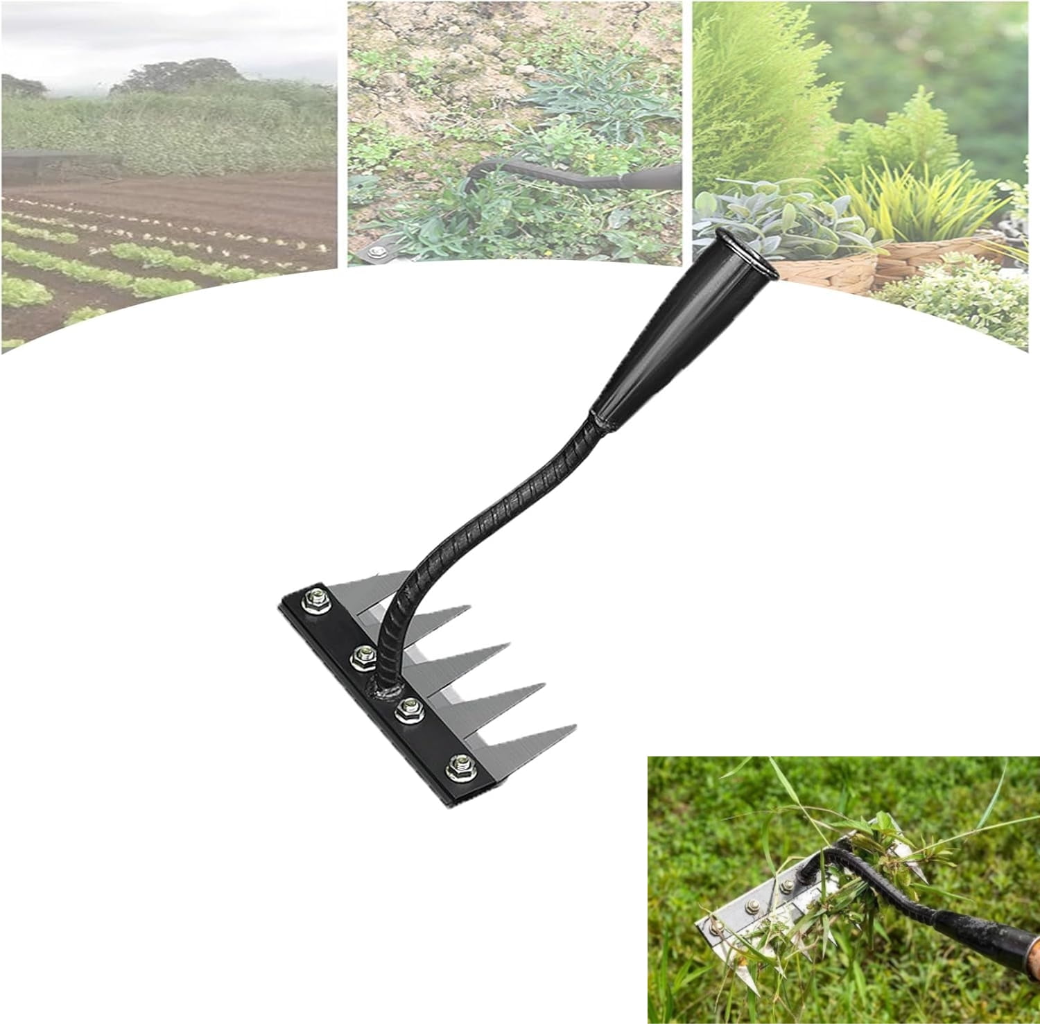 Iron Rake 2.0,The New Iron Weeding Rake in 20255/6/7/8 Teeth Carbon ...