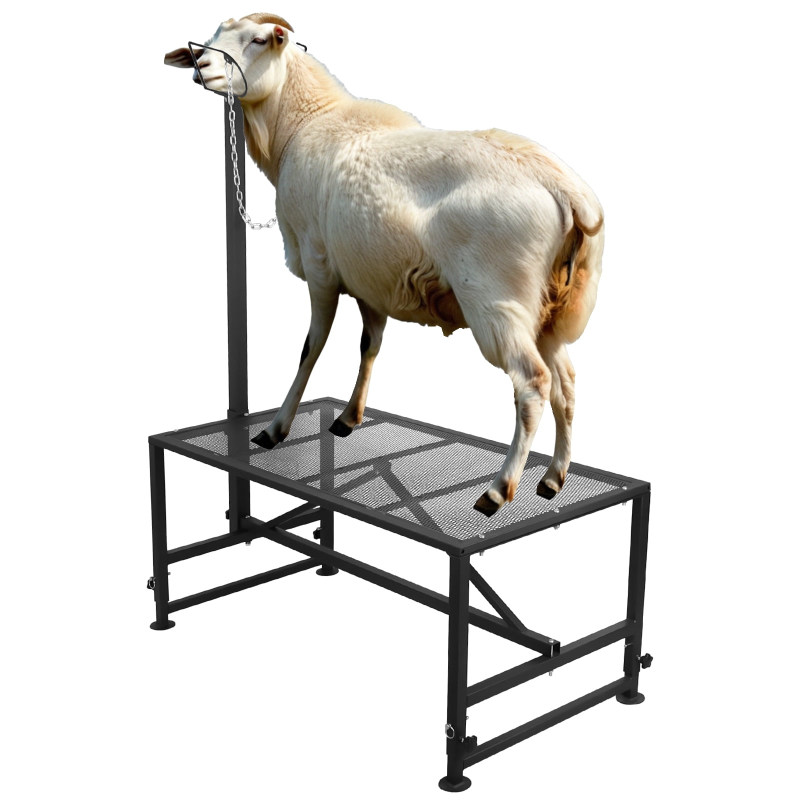 Iron Sheep Handling Stand, Four Level Height Settings 20"-34", 500 lb ...
