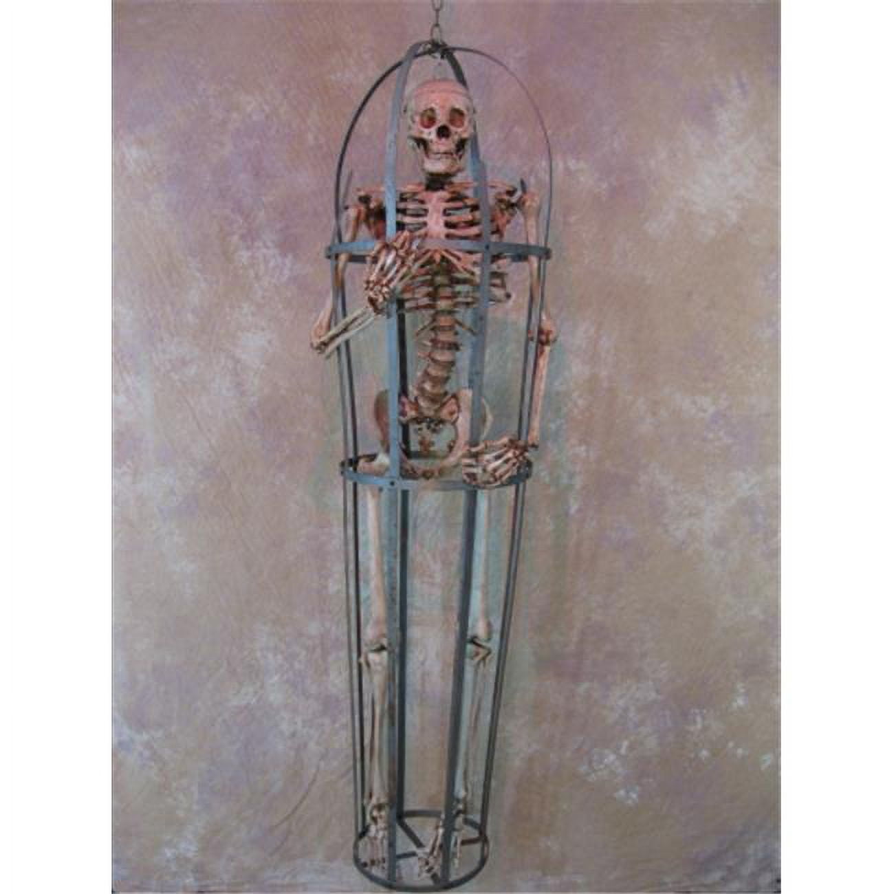 Iron Skeleton Cage With Aged Life-Size Skeleton - Walmart.com