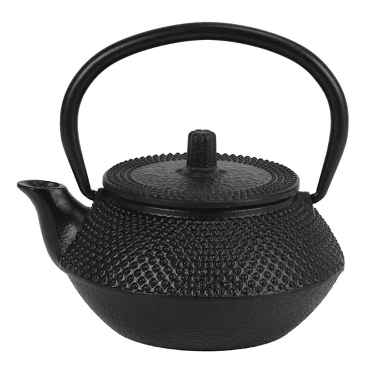 Iron Tea Pot with Stainless Steel Infuser Cast Japanese Teapot Oolong ...