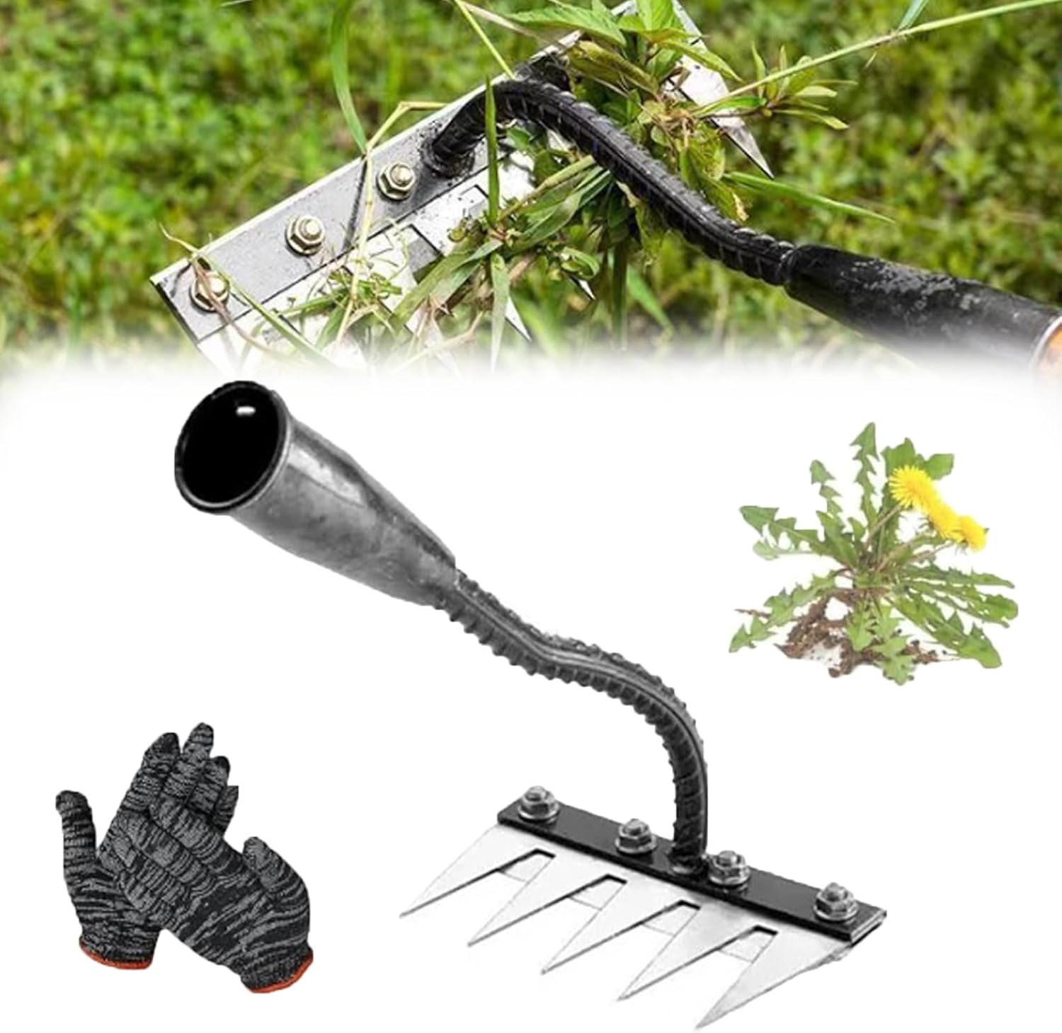 Iron Weeding Rake 2.0 Gardenia Iron Weeding Rake, Iron Weeding Rake, 5 ...