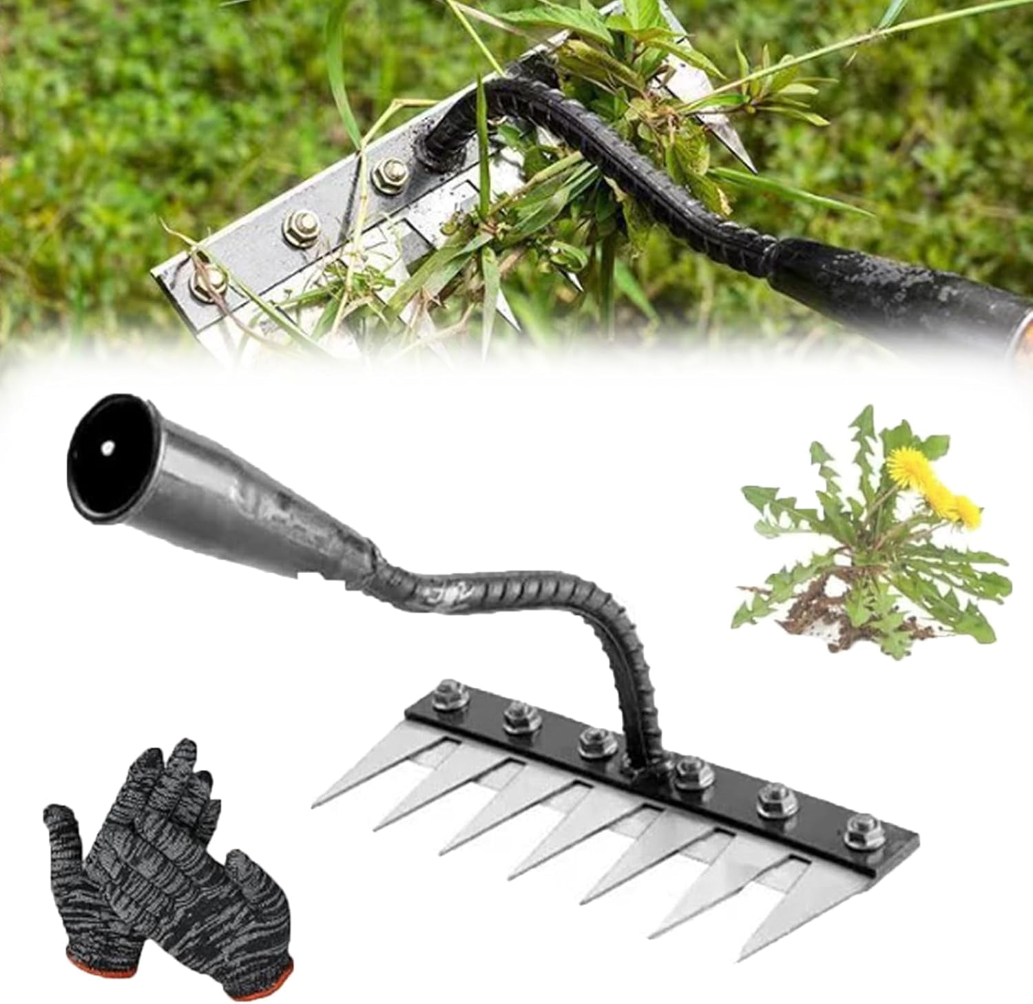 Iron Weeding Rake 2.0 Gardenia Iron Weeding Rake, Iron Weeding Rake, 5 ...