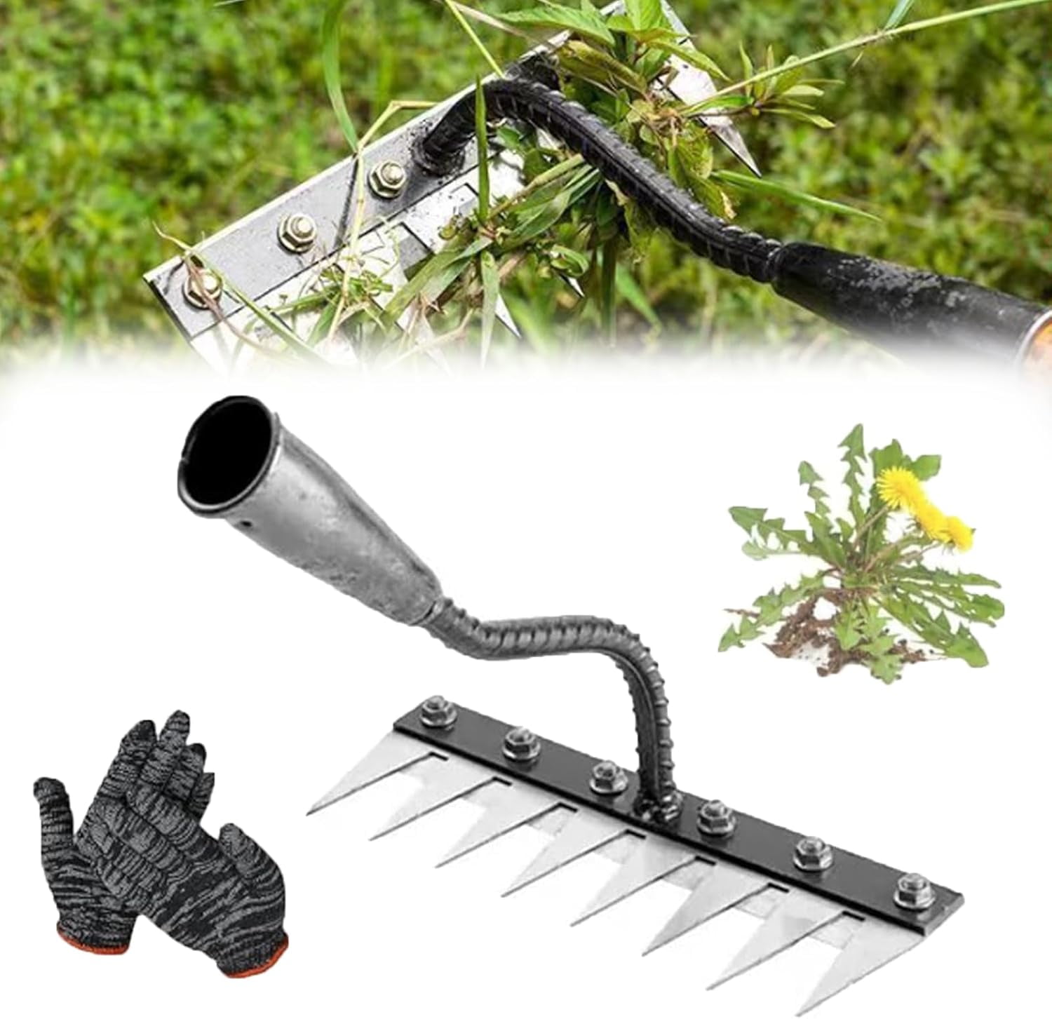 Iron Weeding Rake 2.0 Gardenia Iron Weeding Rake, Iron Weeding Rake, 5 ...