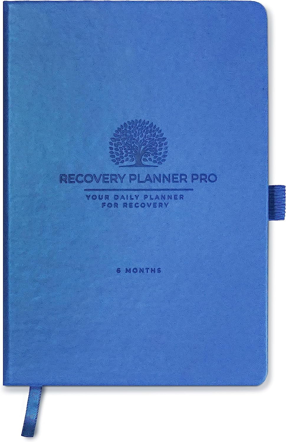 Ironwerks Designs Daily Recovery Planner Pro - Sobriety Gifts for Women ...