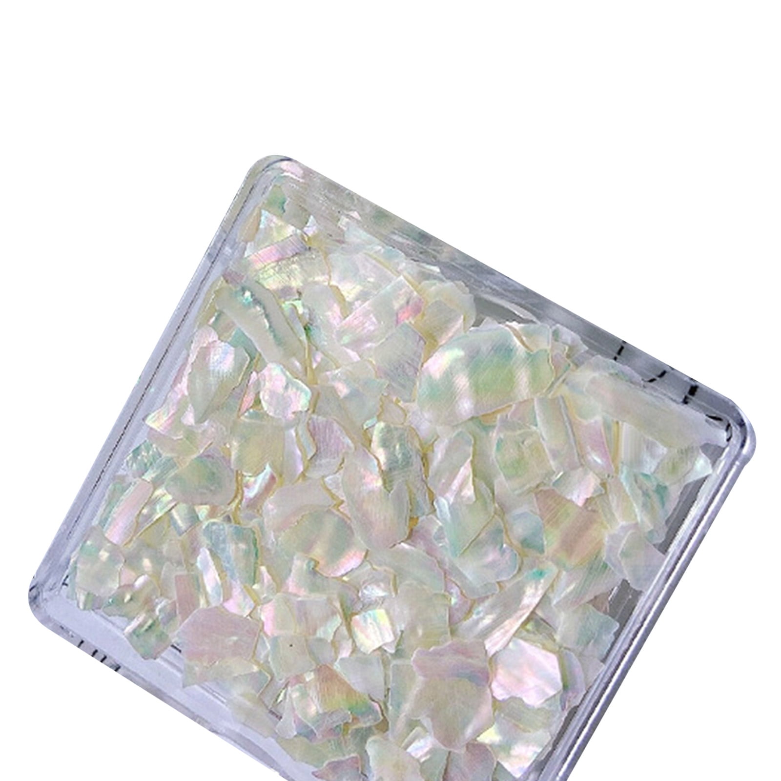 Irregular Abalone Shell Slices 6 Colors Natural Shell Art Flakes 3D ...