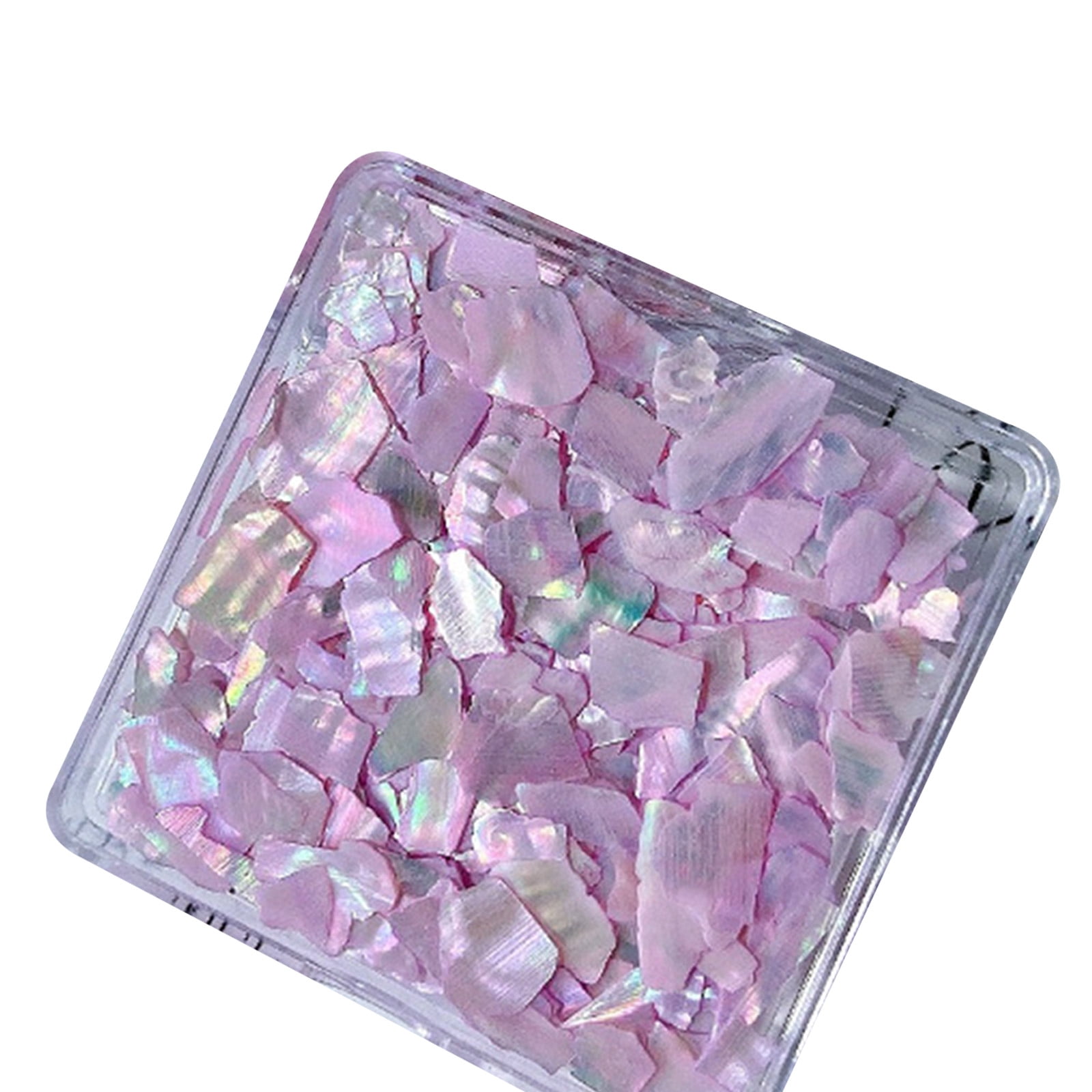 Irregular Abalone Shell Slices 6 Colors Natural Shell Art Flakes 3D ...