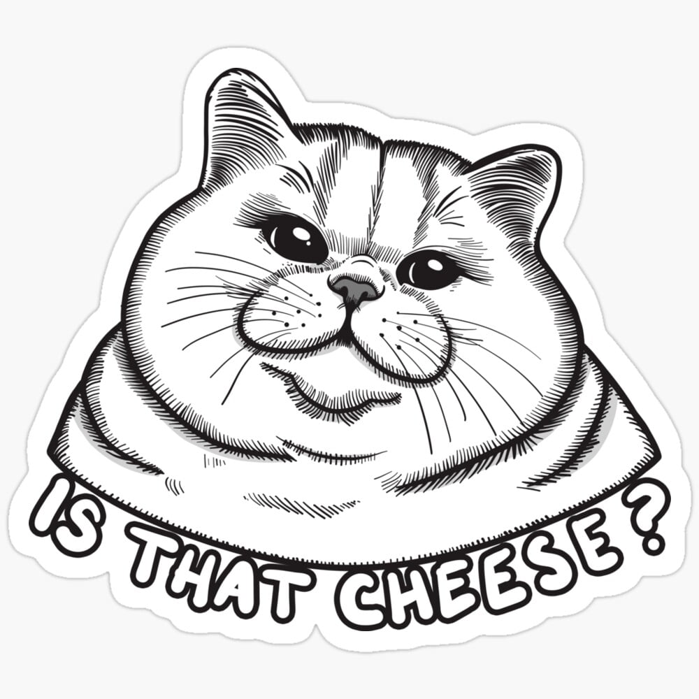 Is That Cheese Cat Sticker Phone Decal Water Bottle Stickers Car Decals ...