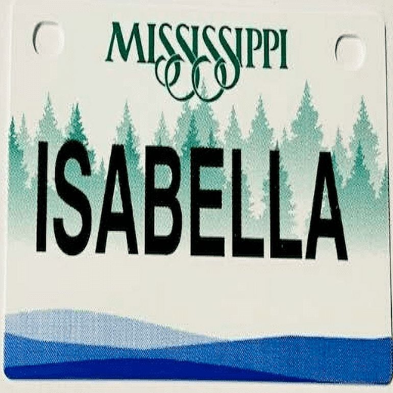 Isabella Mini Bike Plate Add On Accessory - Walmart.com
