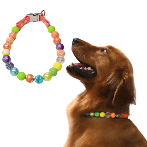 Isabella's Dog Collar Collection-Ready to Wear for Small Medium and ...