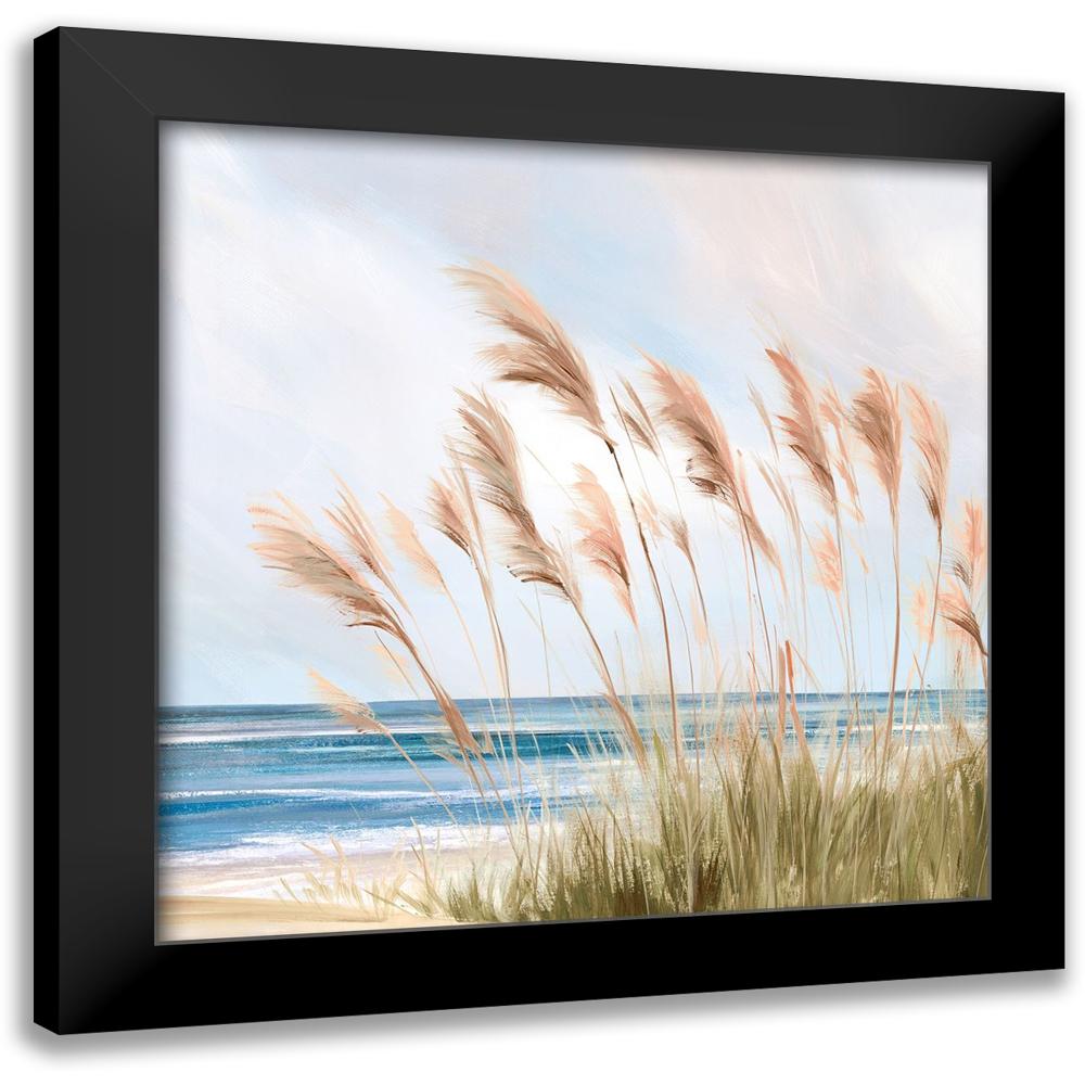 Isabelle Z 20x20 Black Modern Framed Museum Art Print Titled - Beach ...
