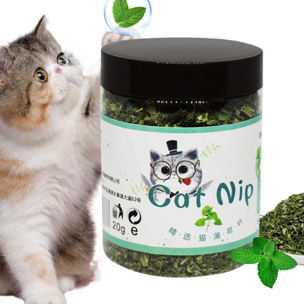 Ishine Catnip for Cats Safe & Non-Addictive Catnip Treats Interactive Calming Entertainment ...