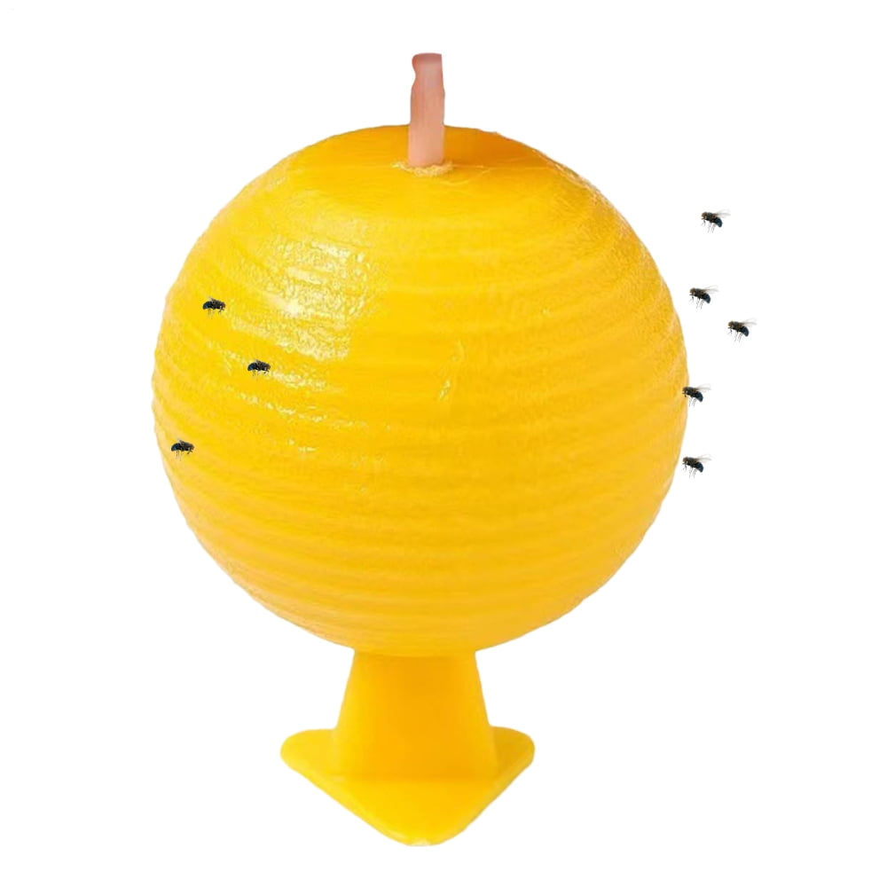 Ishine Fruit Fly Sticky Traps Plant Fly Sticky Trap Sticks Gnat Zapper ...