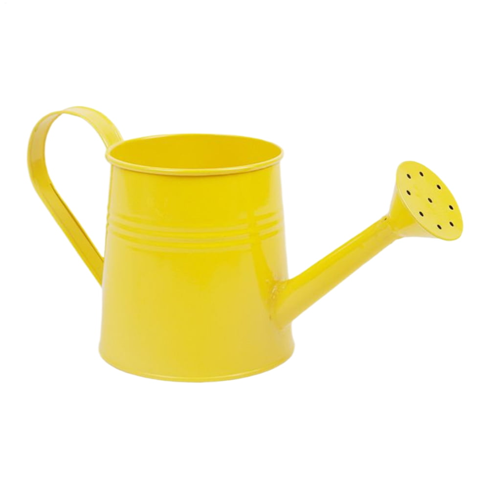 Ishine Plant Watering Can 1L Metal Watering Can with Long Spout Flower ...