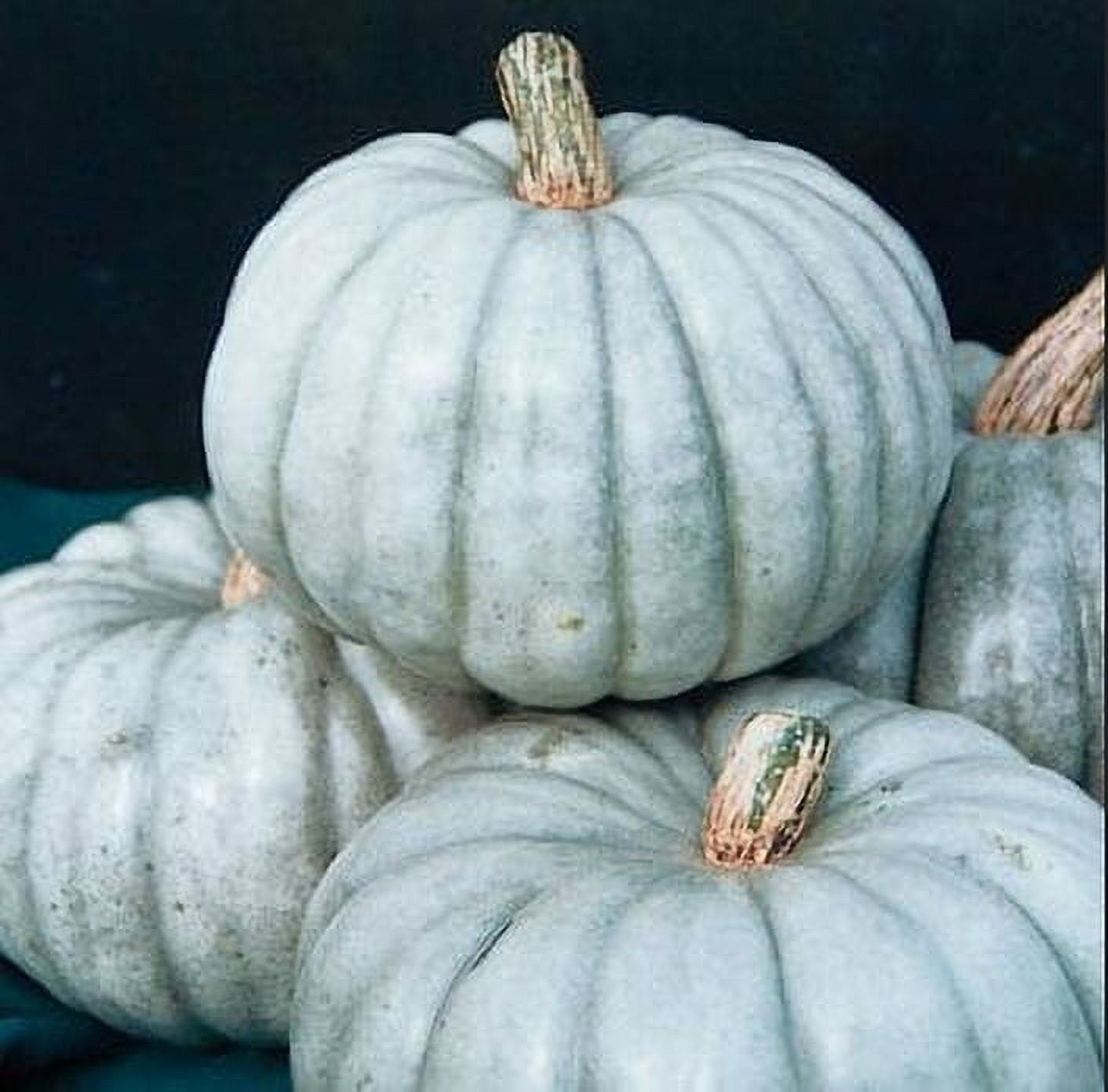 Isla's Garden Seeds 10 Jarradale Pumpkin Plant Seeds, Non GMO - Walmart.com