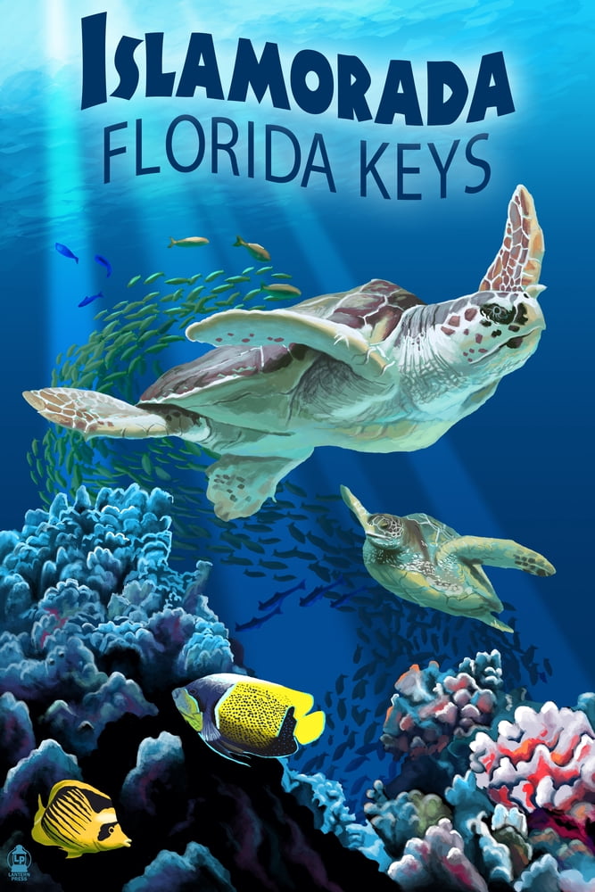 Islamorada, Florida Keys, Sea Turtles (24x36 Giclee Gallery Art Print ...
