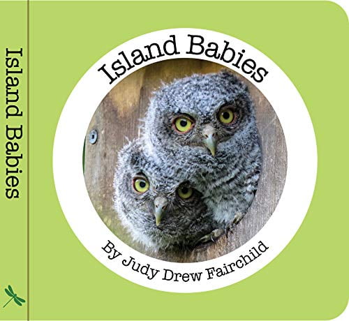 Pre-Owned Island Babies Board Book Judy Drew Fairchild - Walmart.com