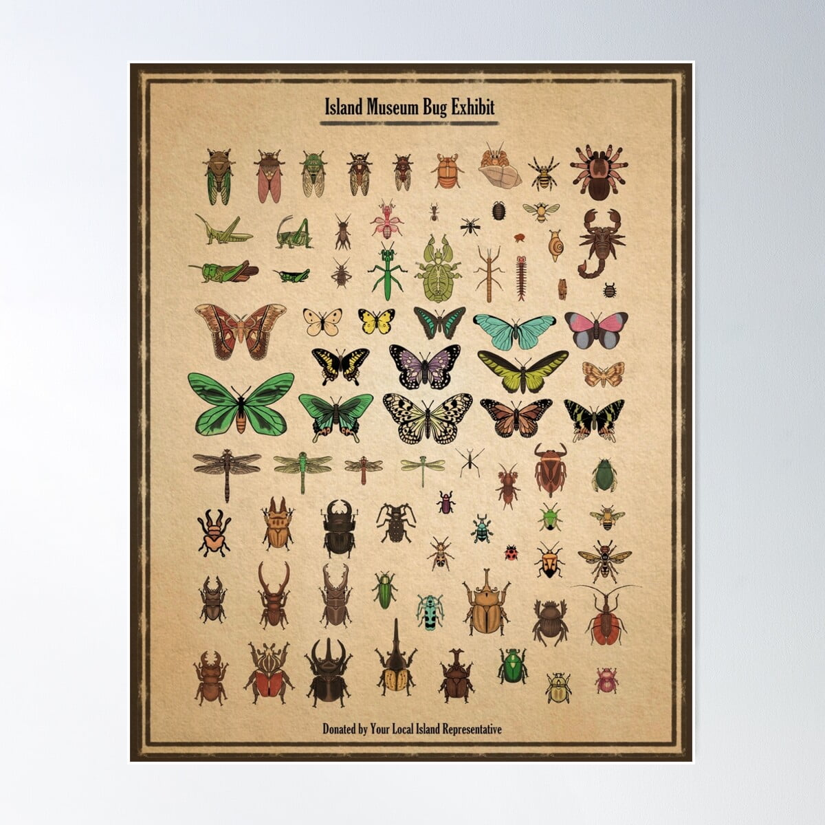 Island Museum Bug Exhibit Poster Wall Art, Modern Wall Decor For Living ...
