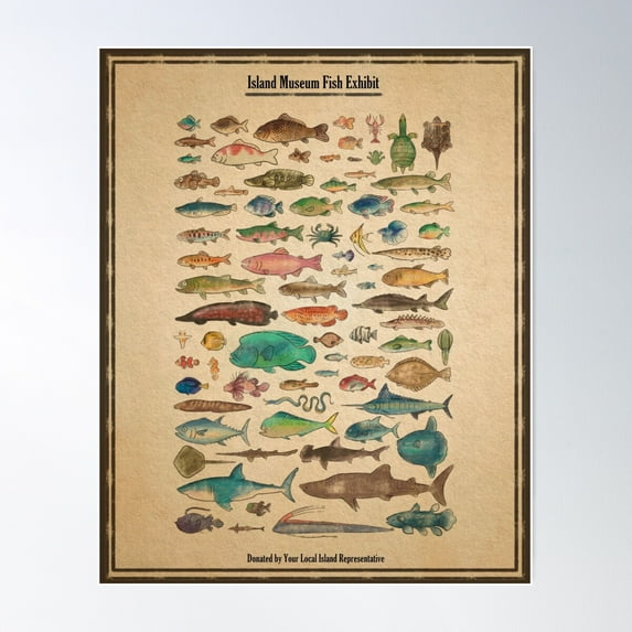 Island Museum Fish Exhibit Poster Wall Art, Modern Wall Decor For ...
