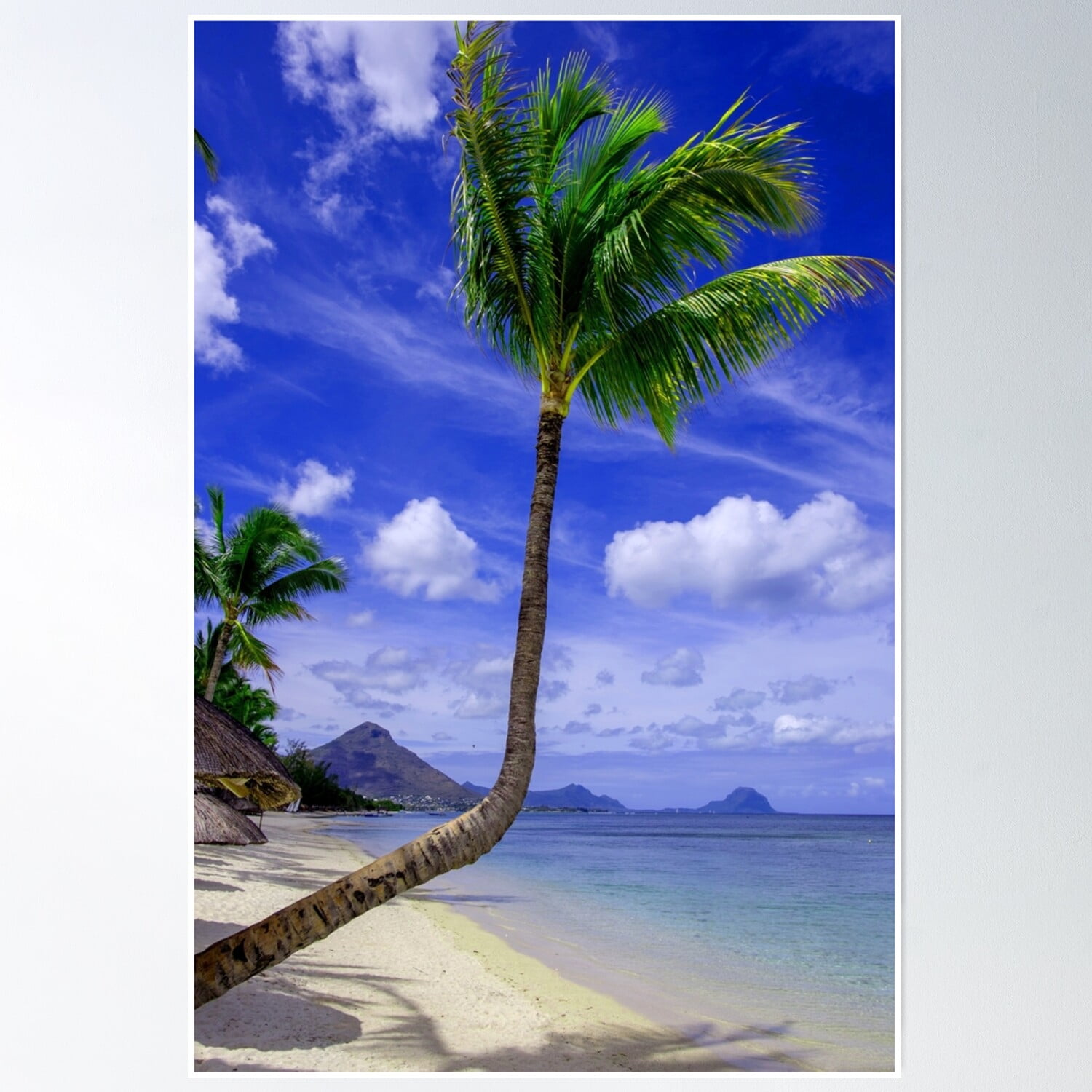 Island Palm Sandy Beach Poster Wall Art, Modern Wall Decor, 12x18 ...