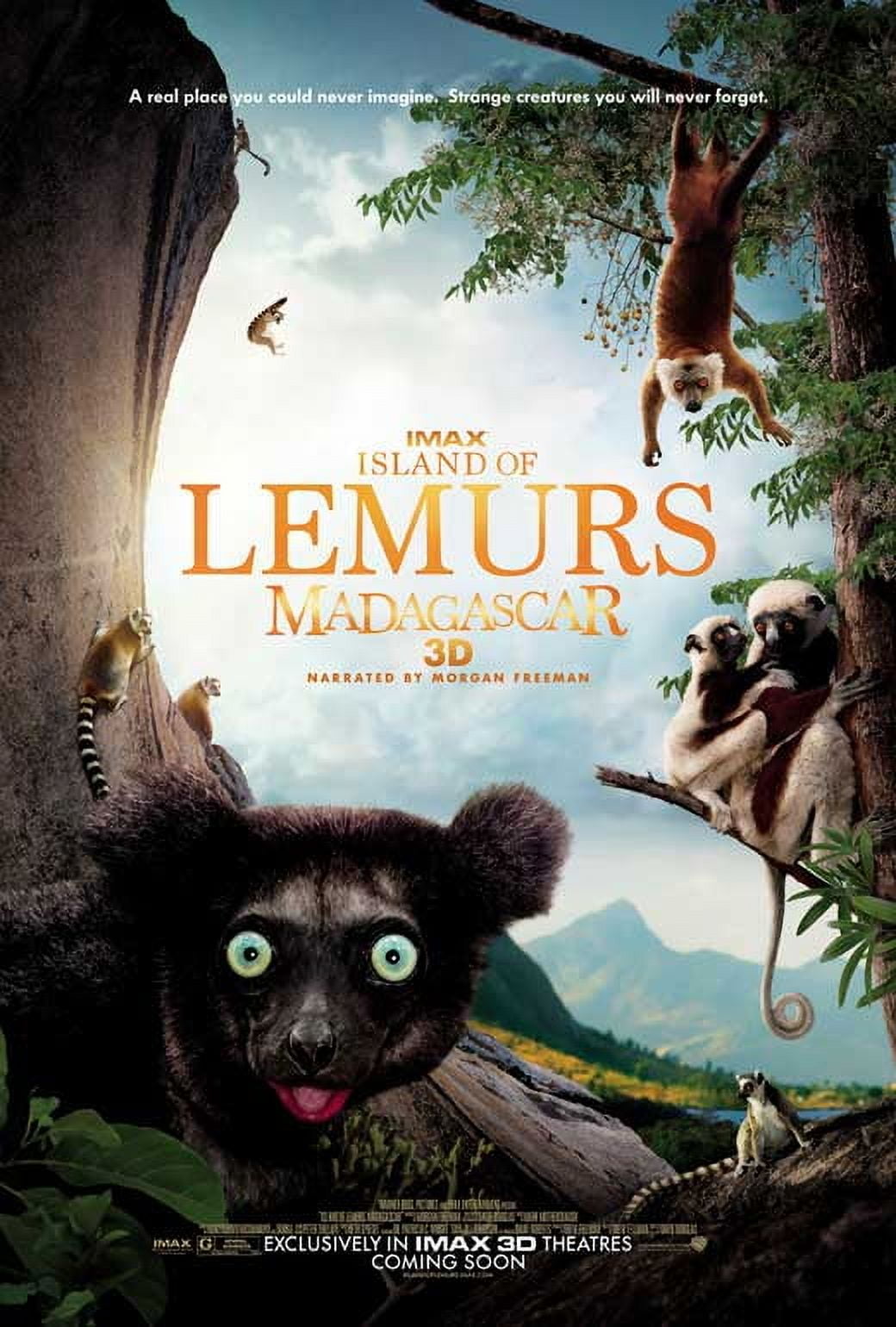 Island of Lemurs: Madagascar IMAX 3D - Movie Poster (Style A) (11" x 17 ...