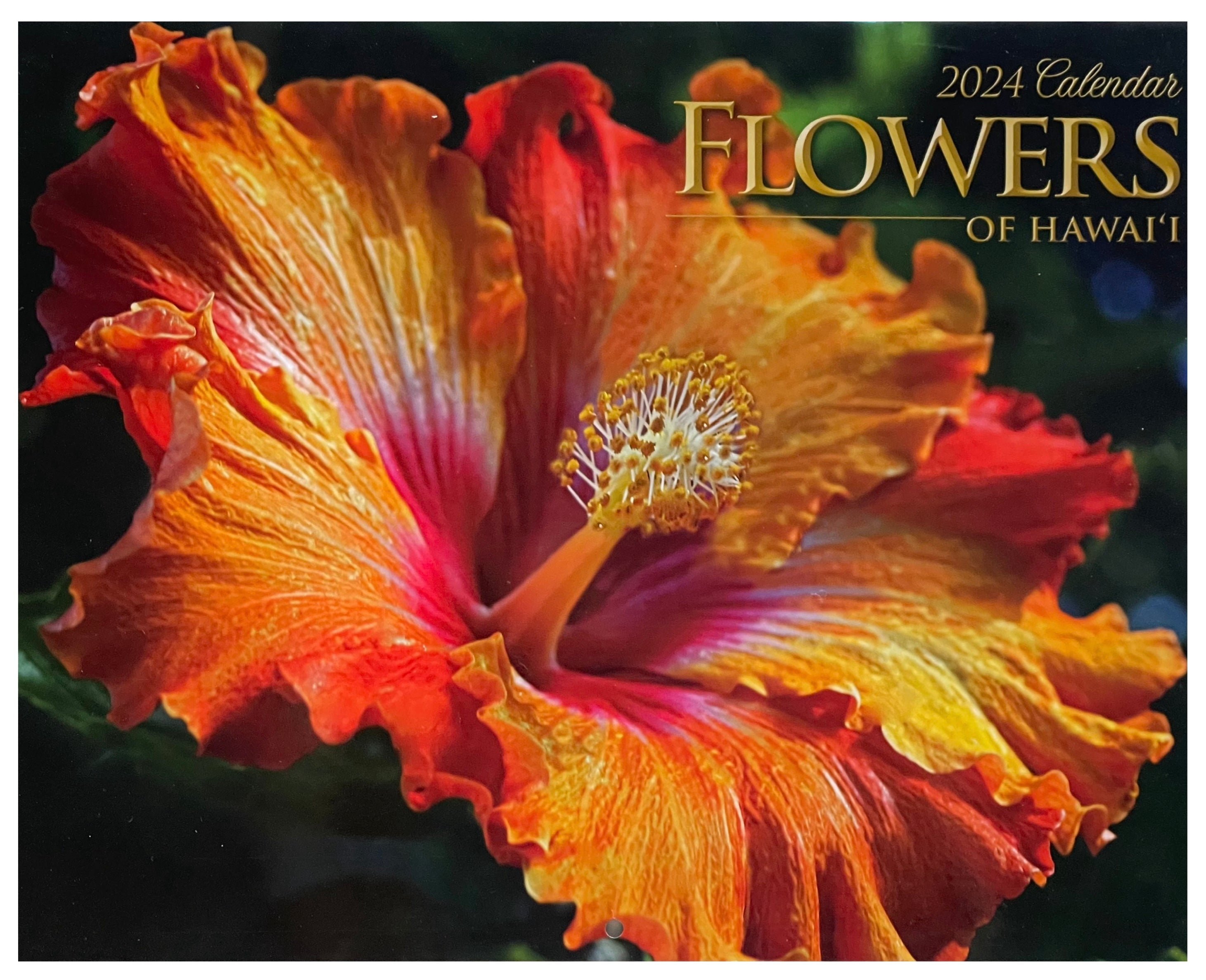 Islander Hawaii Hawaiian 2024 Twelve Month Calendar (Choose) - Walmart.com