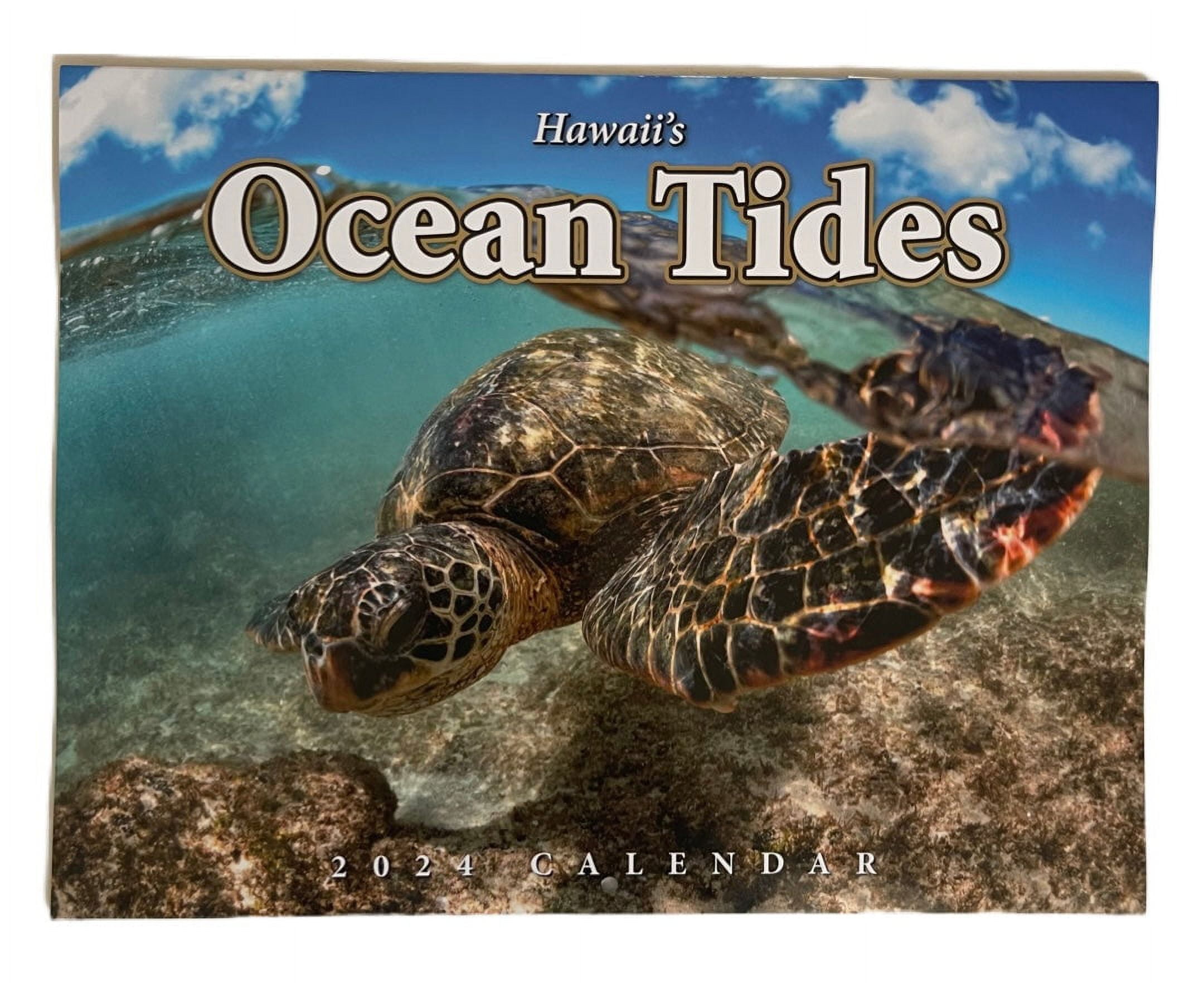 Islander Hawaii Hawaiian 2024 Twelve Month Calendar (Choose) - Walmart.com