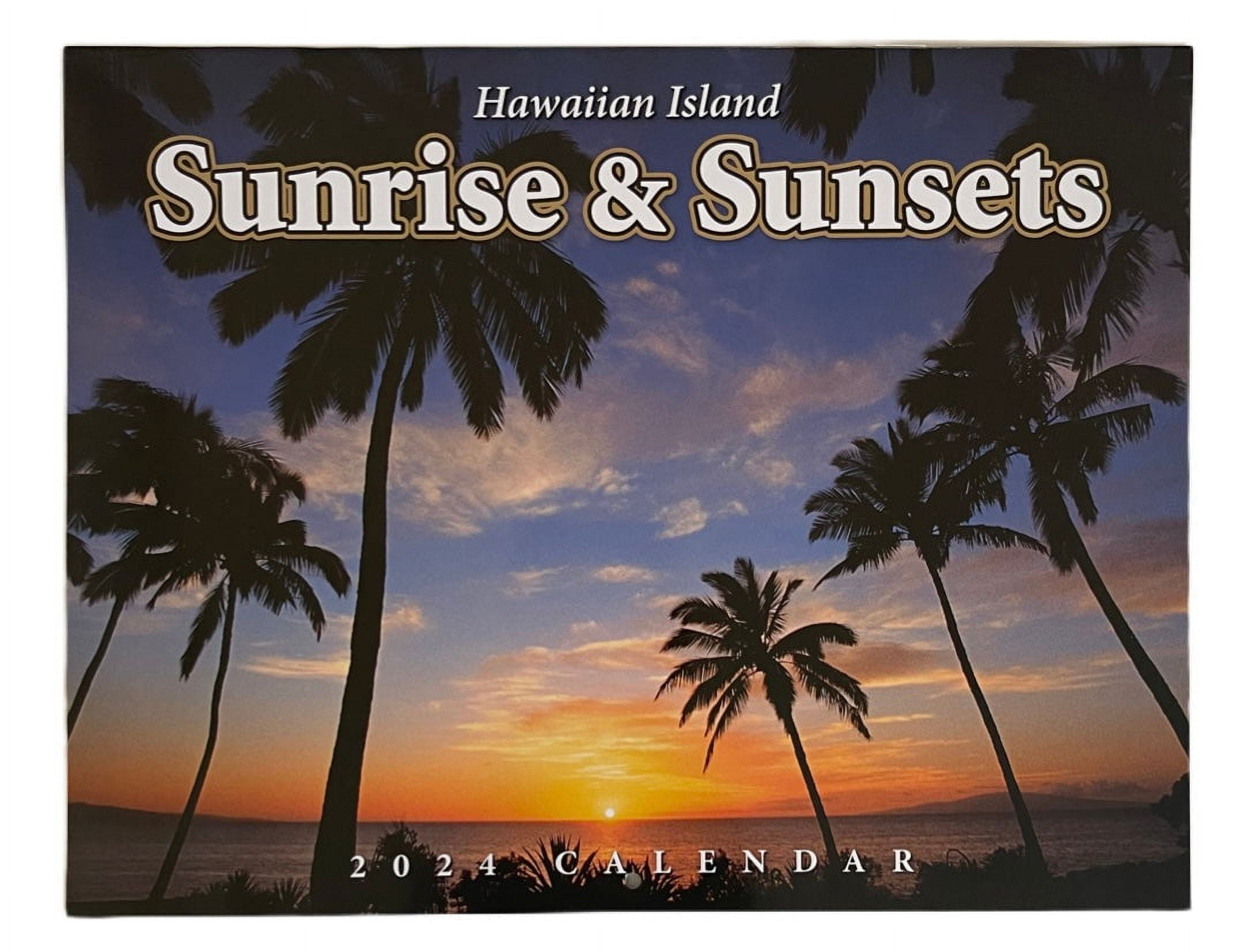Islander Hawaii Hawaiian 2024 Twelve Month Calendar (Choose) - Walmart.com