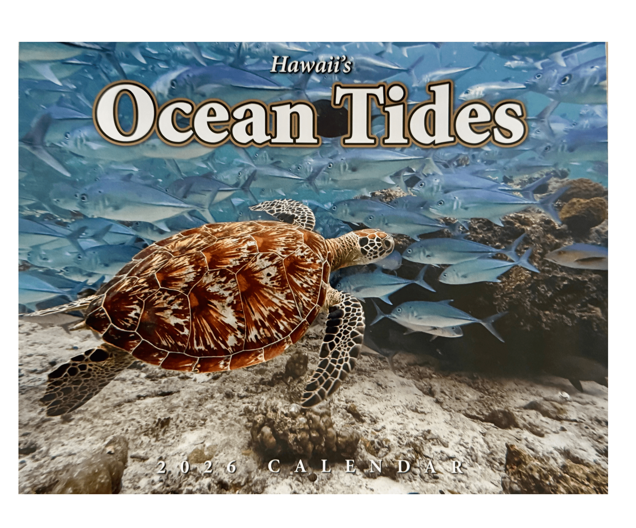Islander Hawaiian 2026 Twelve Month Calendar (Choose) - Walmart.com