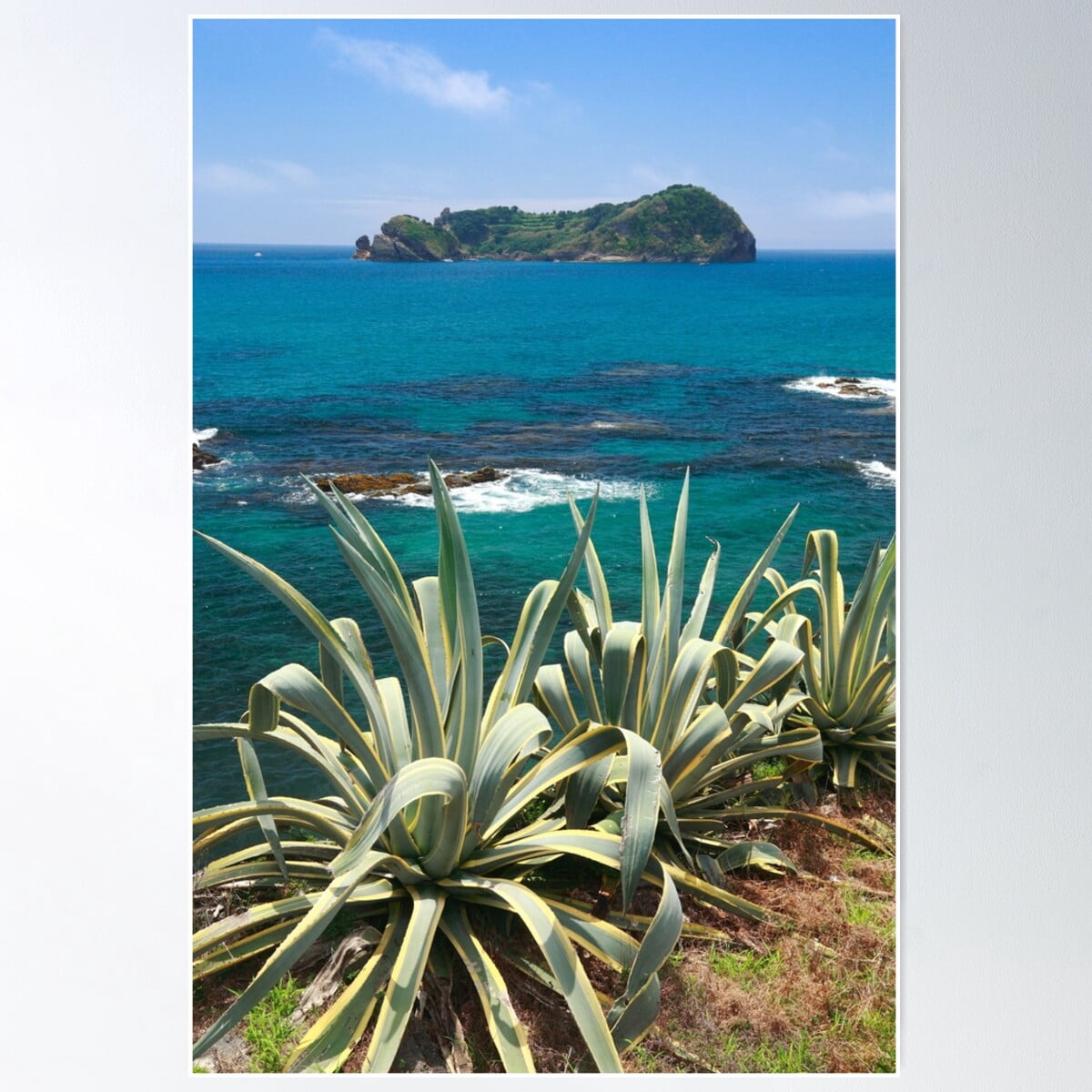 Islet And Coastal Vegetation Poster Wall Art, Modern Wall Decor For ...