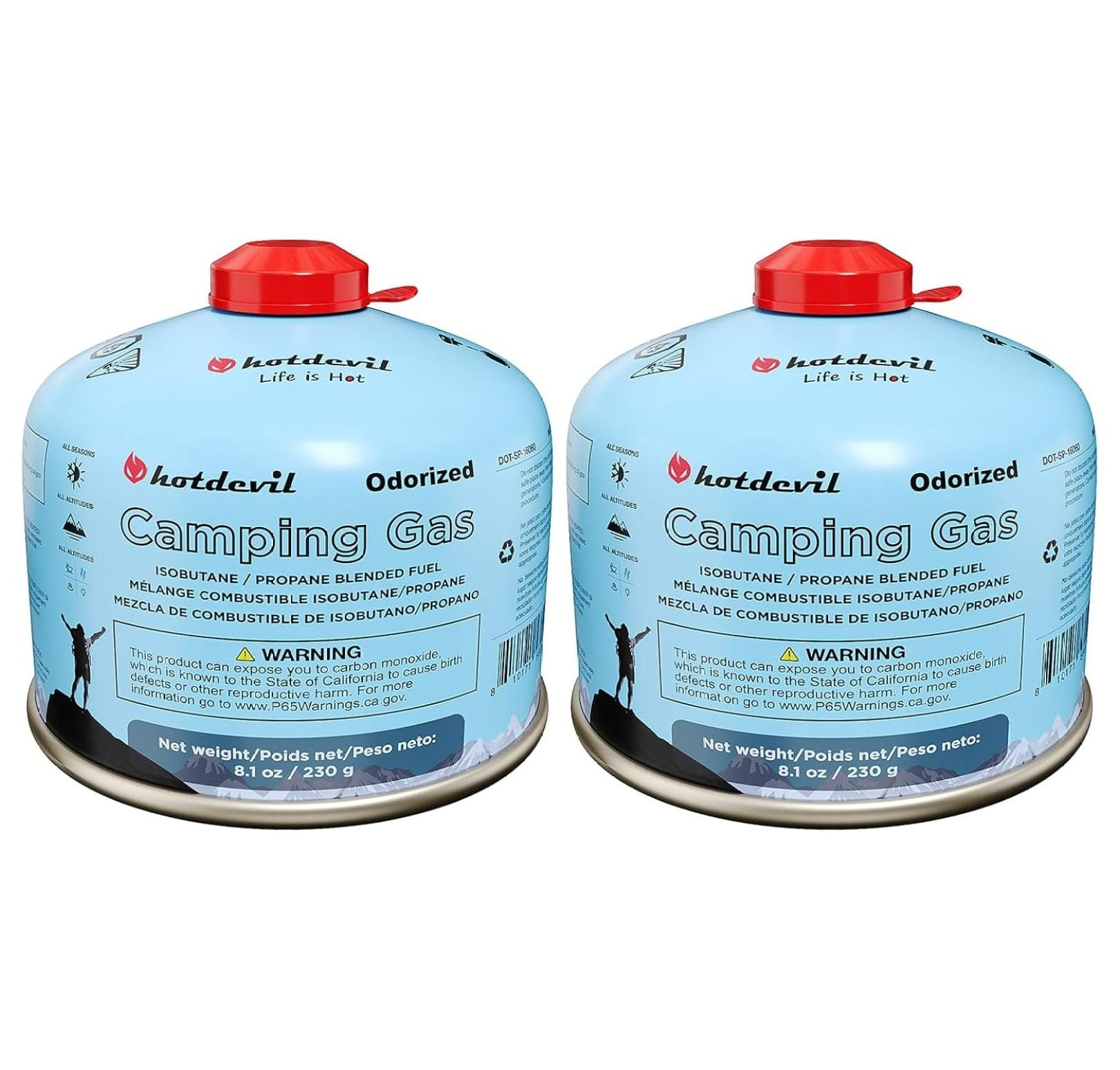 Isobutane Fuel Canister 230 Gram 2 Pack - Walmart.com