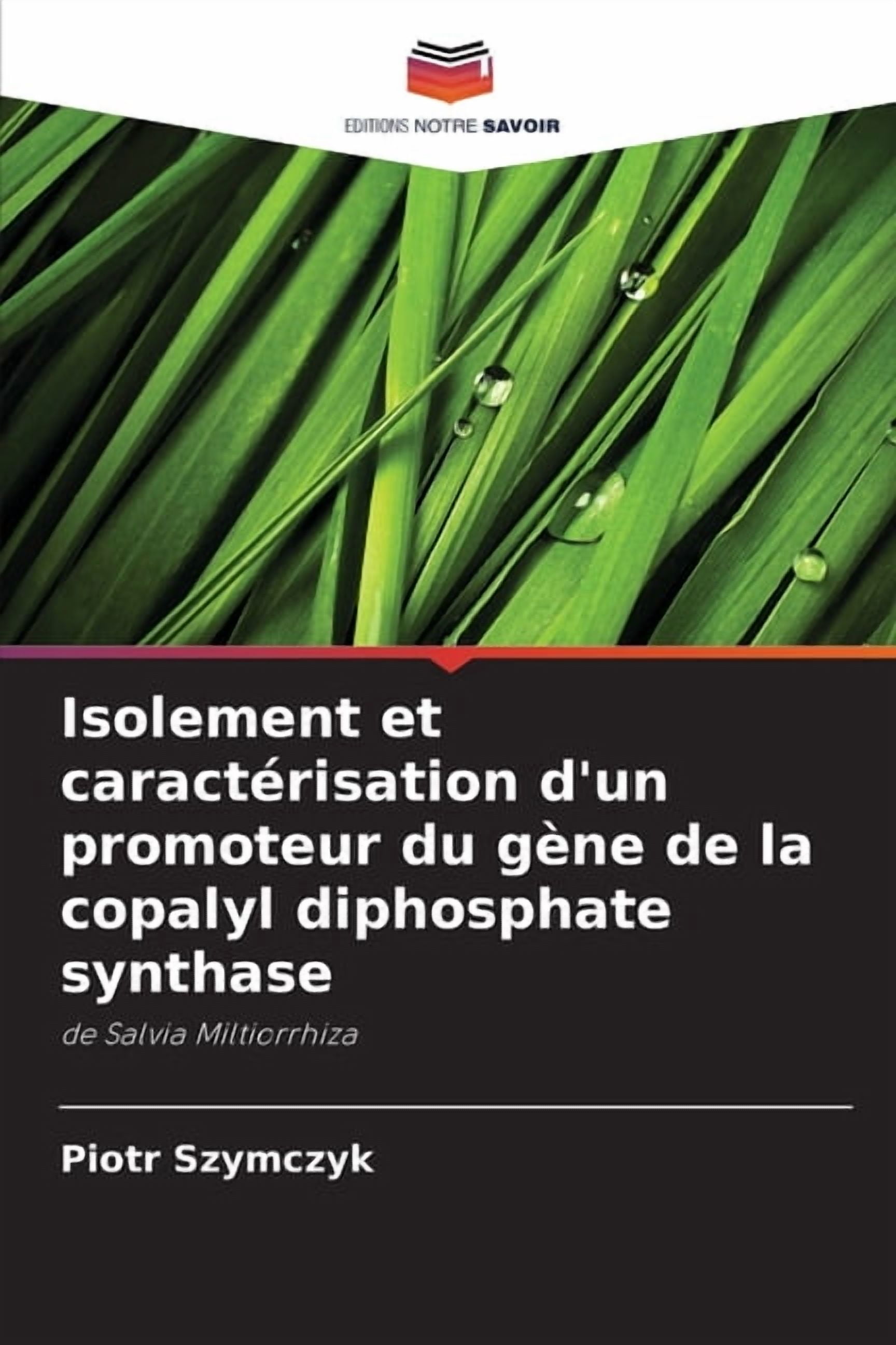 Isolement et caractérisation d'un promoteur du gène de la copalyl diphosphate synthase ...