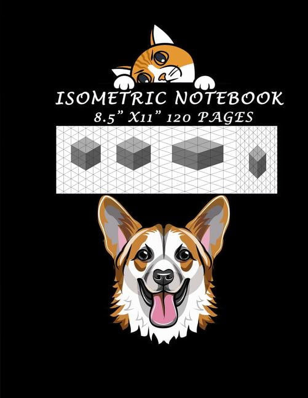 Isometric Hexagon Graph & Grid 3D Drawing Notebook, 8.5in x 11in, 120 ...