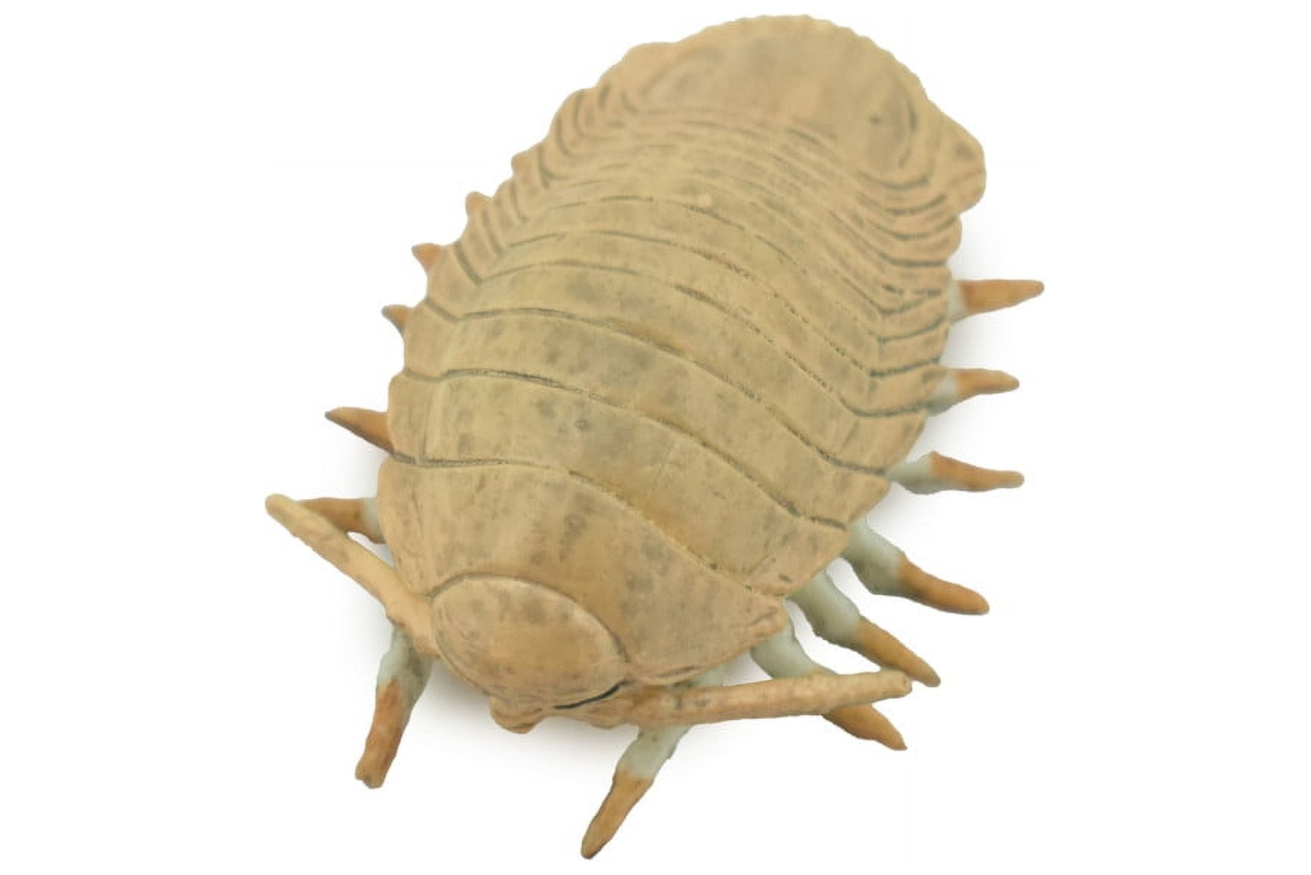 Isopod, Arthropods, Museum Quality, Hand Painted, Rubber, Crustaceans ...