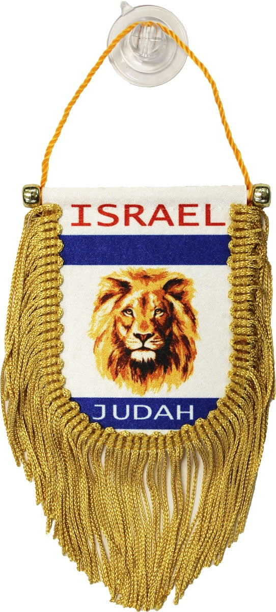 Israel (Lion-Judah) Window Hanging Flag (Shield) - Walmart.com