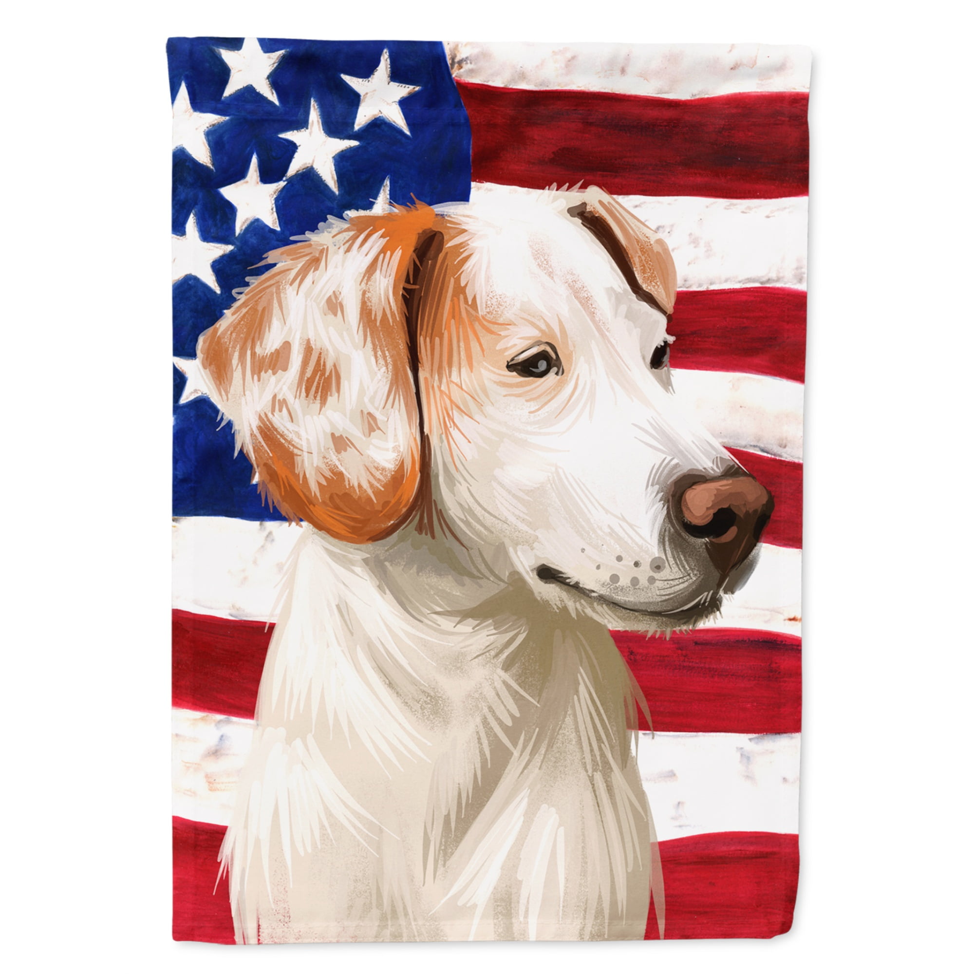 Carolines Treasures CK6575CHF Istrian Shorthaired Hound American Canvas ...
