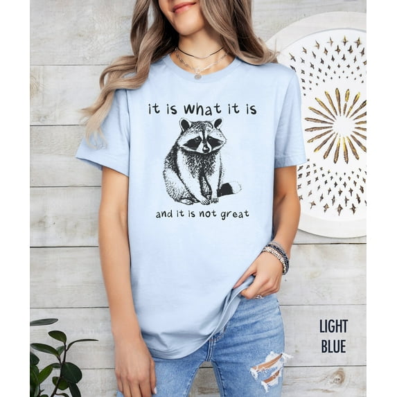 It Is What It Is And It Is Not Great Shirt, Funny Meme Shirt, Meme ...