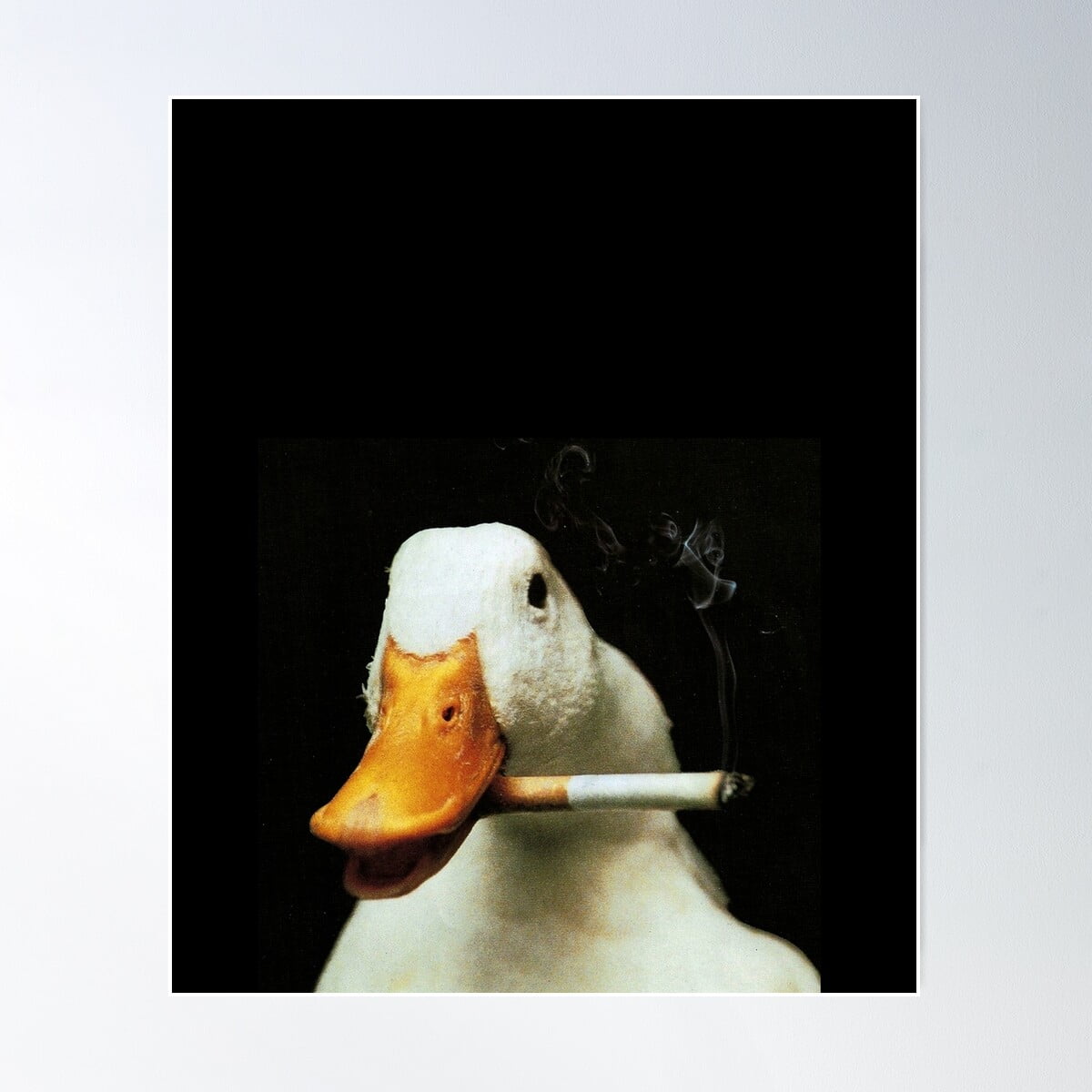 It Looks Just As Stupid When You Do It Cool Duck Smoking Poster Wall ...