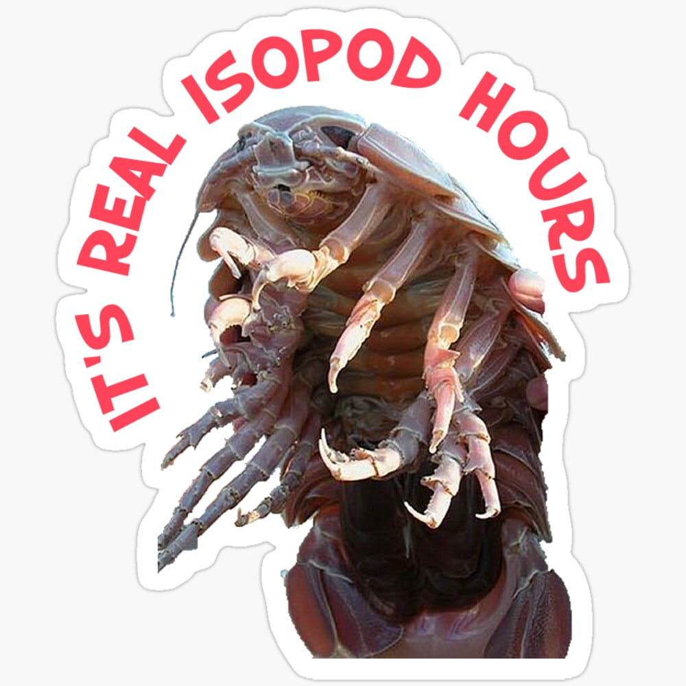 It'S Real Isopod Hours Sticker Phone Decal Water Bottle Stickers Car ...