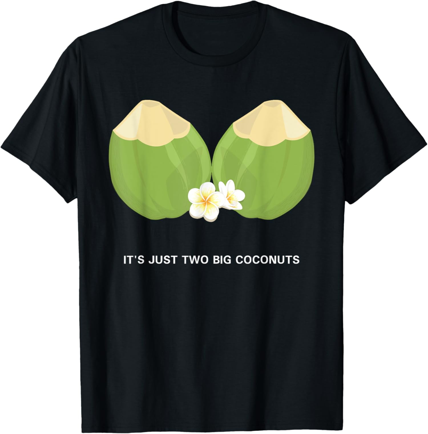 It's Just Two Big Coconuts World Coconut Day Funny Beach T-Shirt ...
