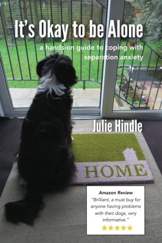 Julie Derussy Books - Walmart.com