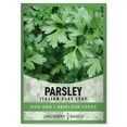 Italian Flat Leaf Parsley Seeds - Walmart.com