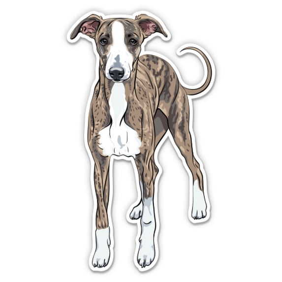 Italian Greyhound Dog - 8" Vinyl Sticker - For Car Laptop I-Pad ...