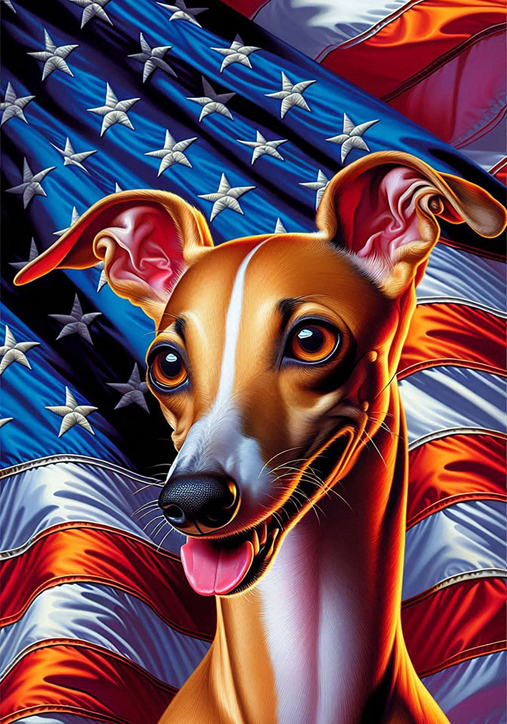 Italian Greyhound Fawn - Best of Breed DCR Patriotic III Outdoor House ...