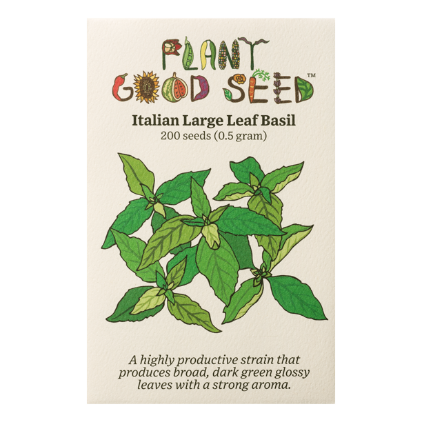 Italian Large Leaf Basil Seeds - Walmart Business Supplies