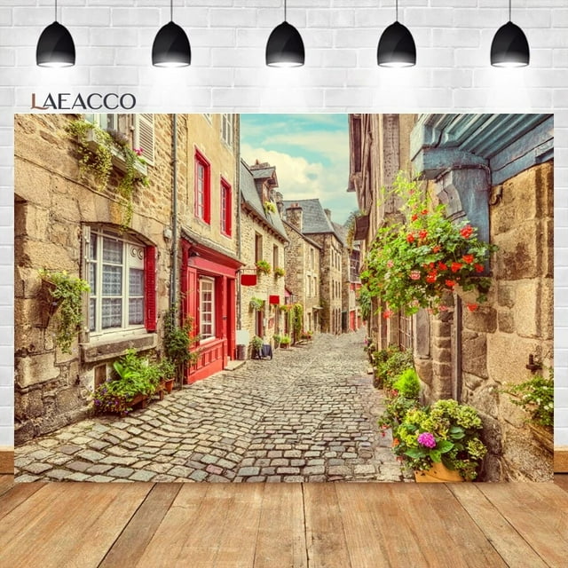 Italian Pastoral Town Street Backdrop Tourist Plant Flowers Gravel Kid ...