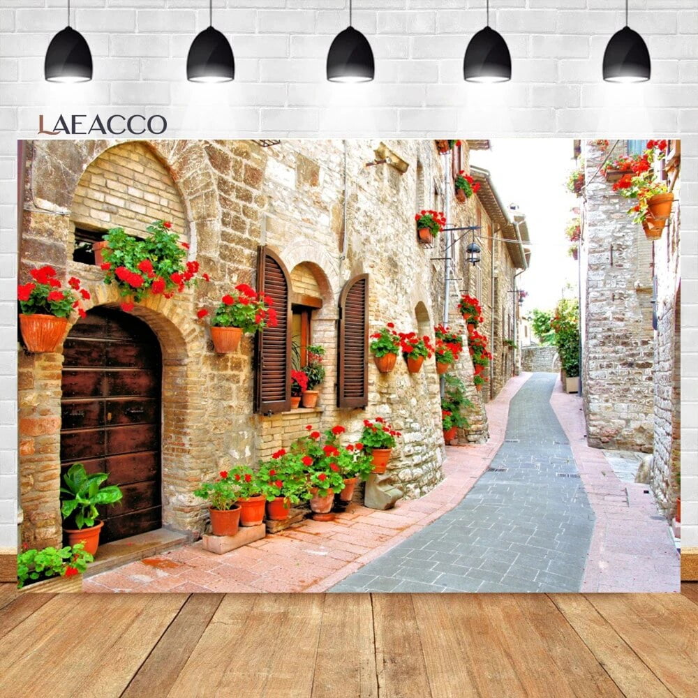 Italian Pastoral Town Street Backdrop Tourist Plant Flowers Gravel Kid ...