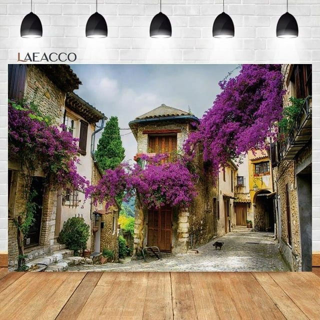 Italian Pastoral Town Street Backdrop Tourist Plant Flowers Gravel Kid ...
