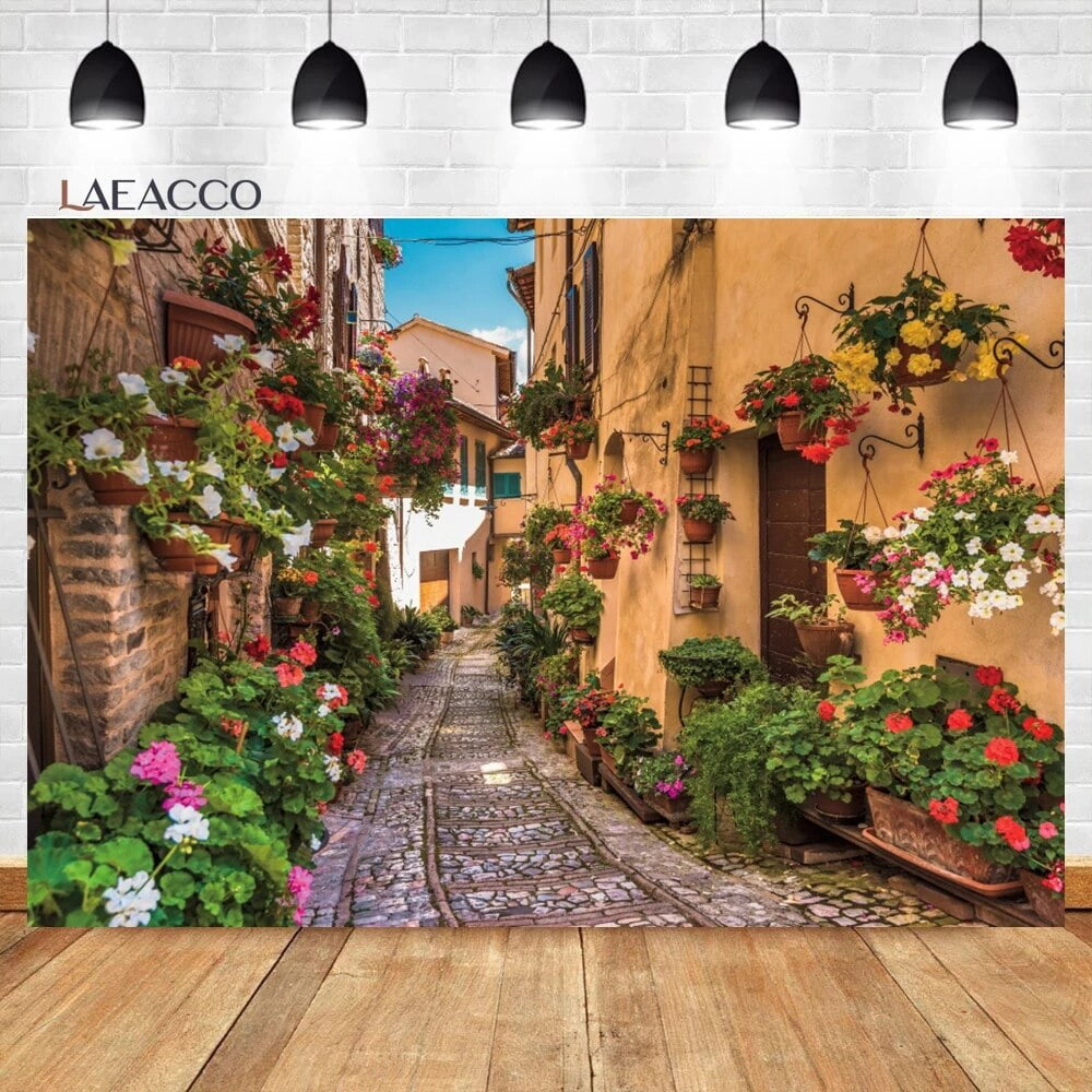 Italian Pastoral Town Street Backdrop Tourist Plant Flowers Gravel Kid ...
