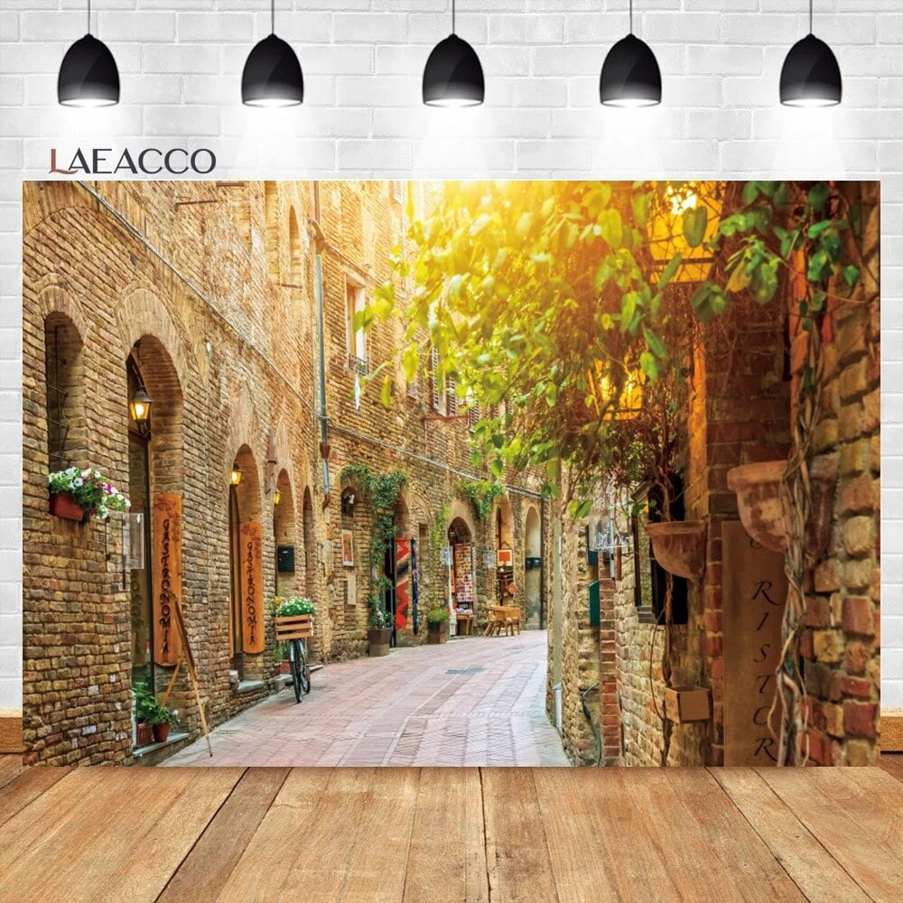 Italian Pastoral Town Street Backdrop Tourist Plant Flowers Gravel Kid ...